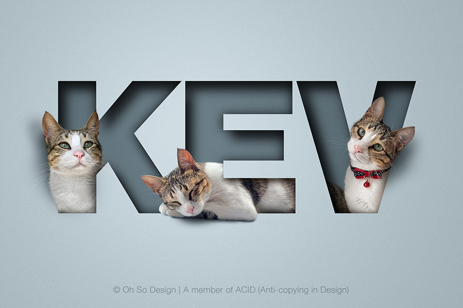 Personalised Pet Prints with a cut out letter look | Oh So Portraits ...