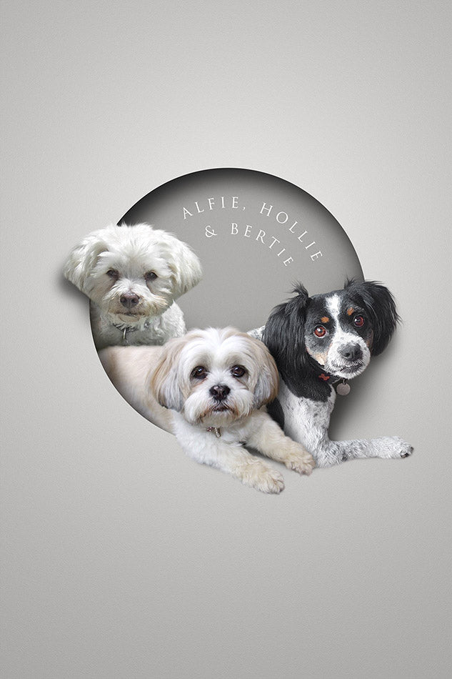 Personalised Pet Prints with a cut out letter look | Oh So Portraits ...