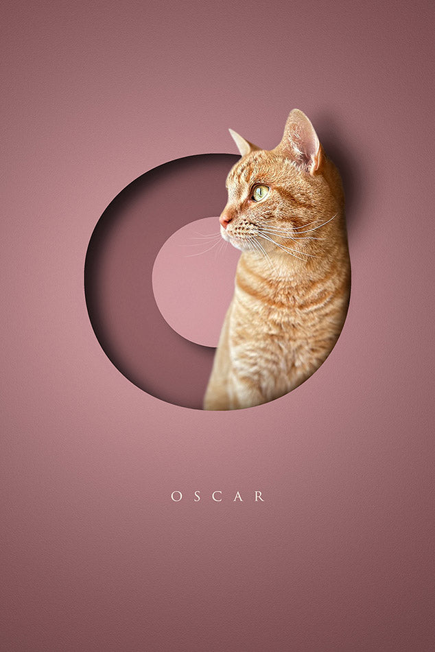 Personalised Pet Prints with a cut out letter look | Oh So Portraits ...